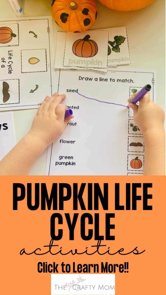 Fun Pumpkin Life Cycle Worksheets and Activities for Kids - The Crafty ...