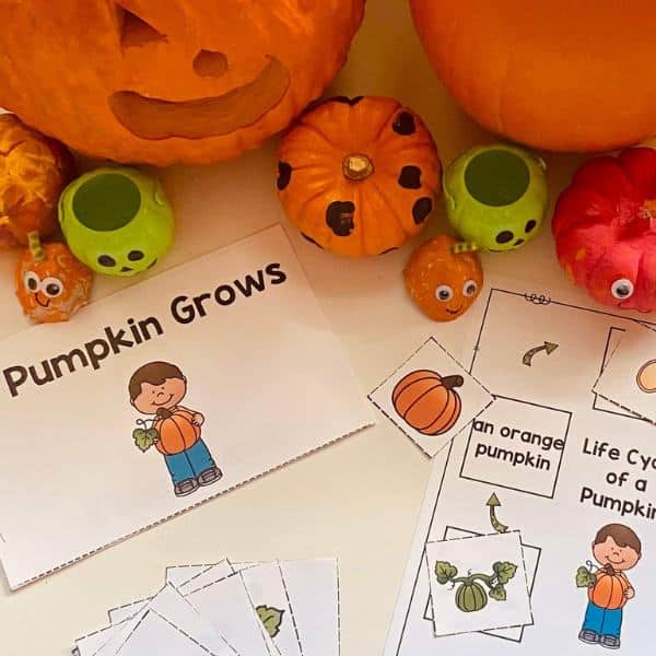 Fun Pumpkin Life Cycle Worksheets and Activities for Kids - The Crafty ...