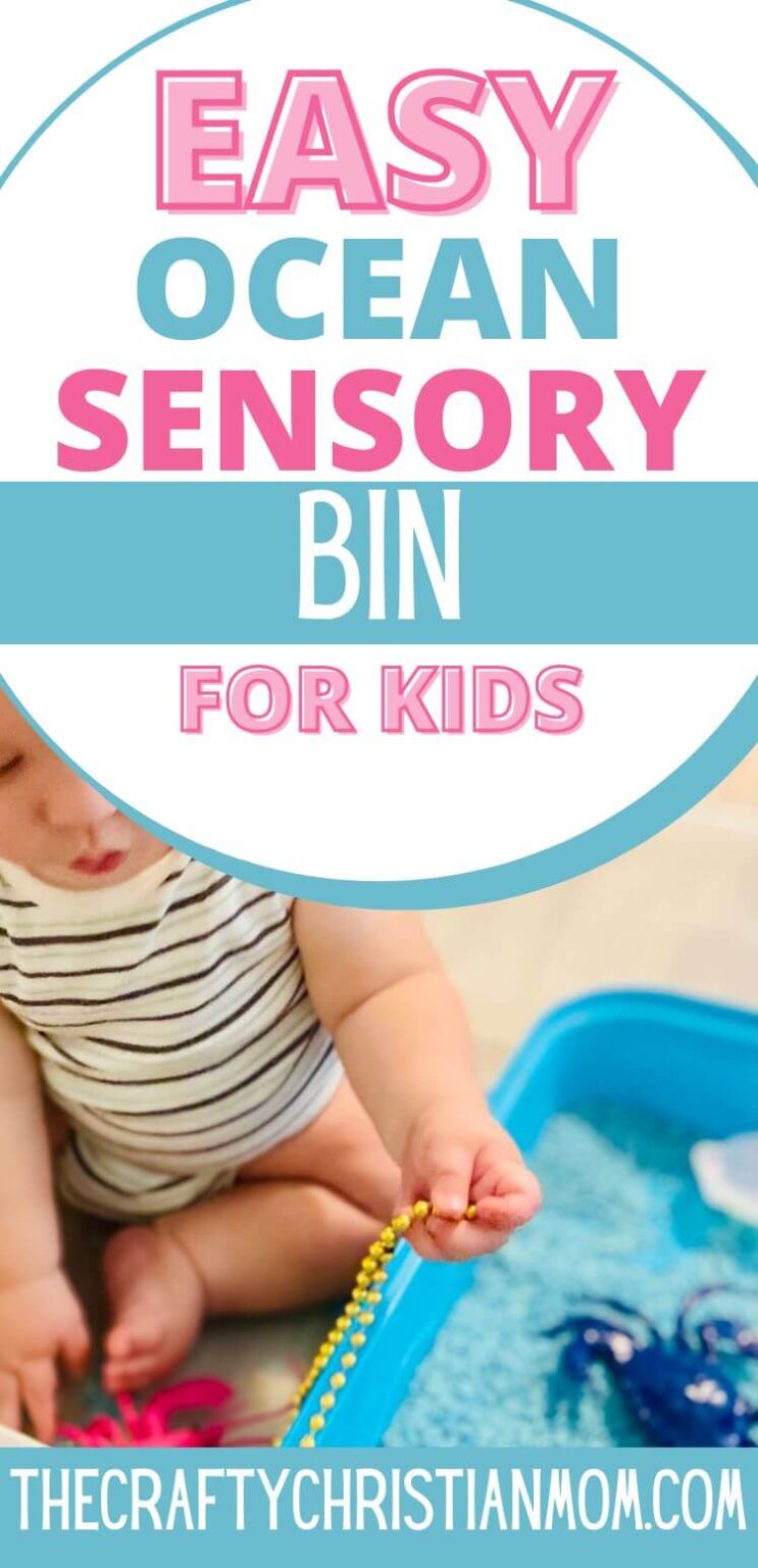 Ocean Sensory Bin Ideas for Multi-Age Play - The Crafty Christian Mom